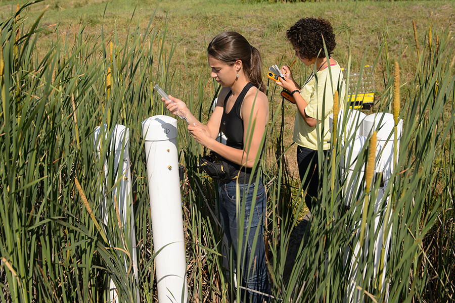 Alumni | College of Agriculture, Health and Natural Resources