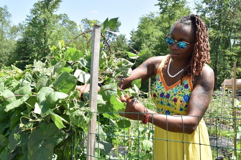 College of Agriculture, Health and Natural Resources | College of ...