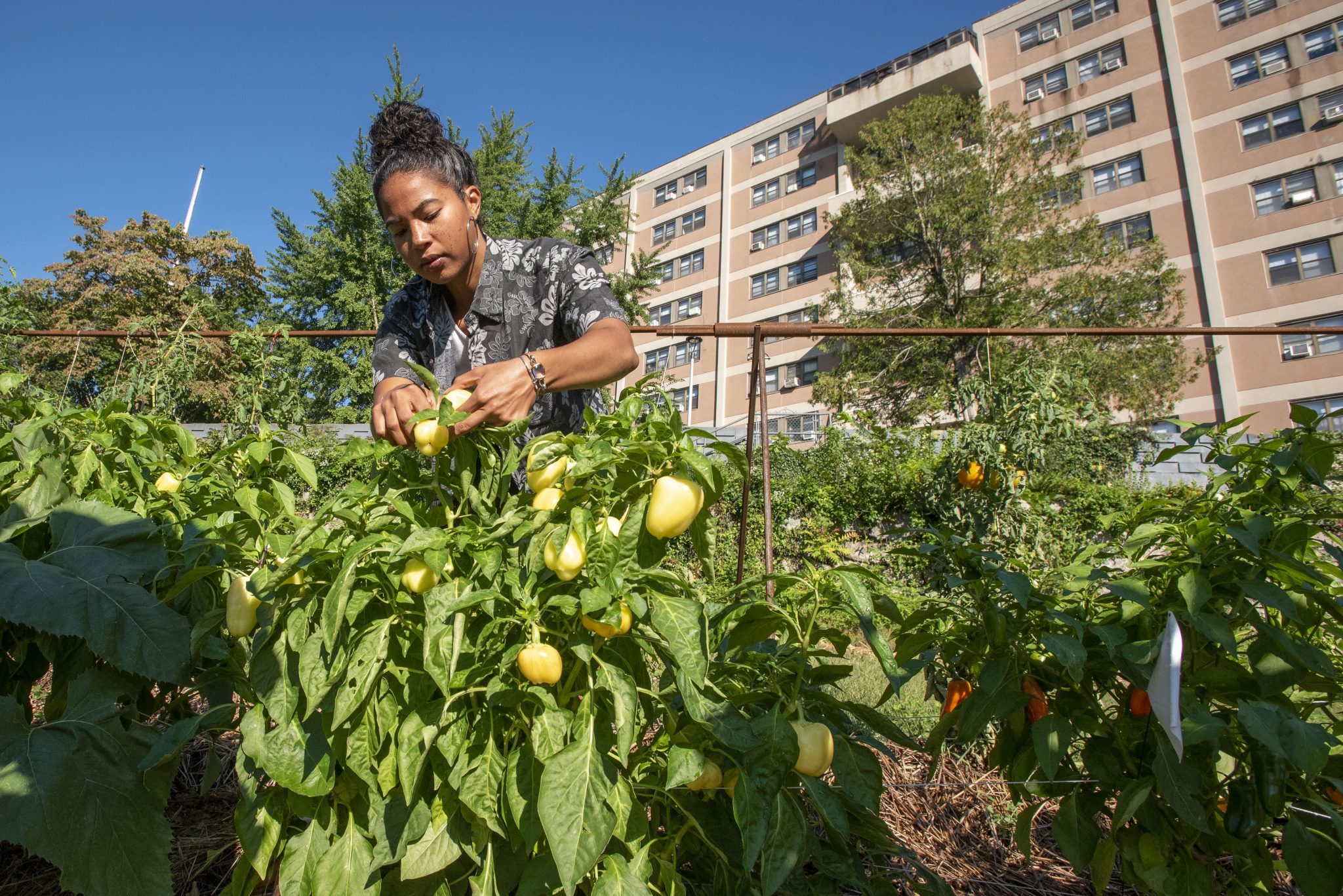 Ensuring a Vibrant and Sustainable Agricultural Industry and Food ...
