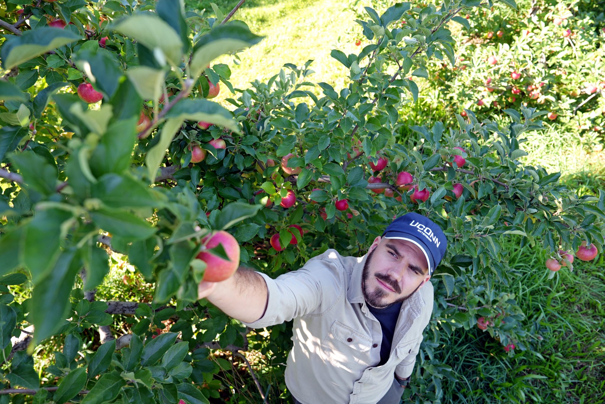 UConn Extension | College of Agriculture, Health and Natural Resources
